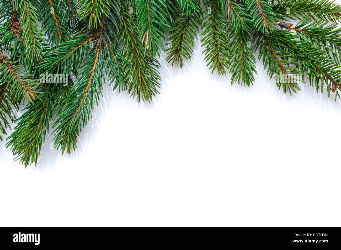 Christmas tree branches border on white background Stock Photo - Alamy