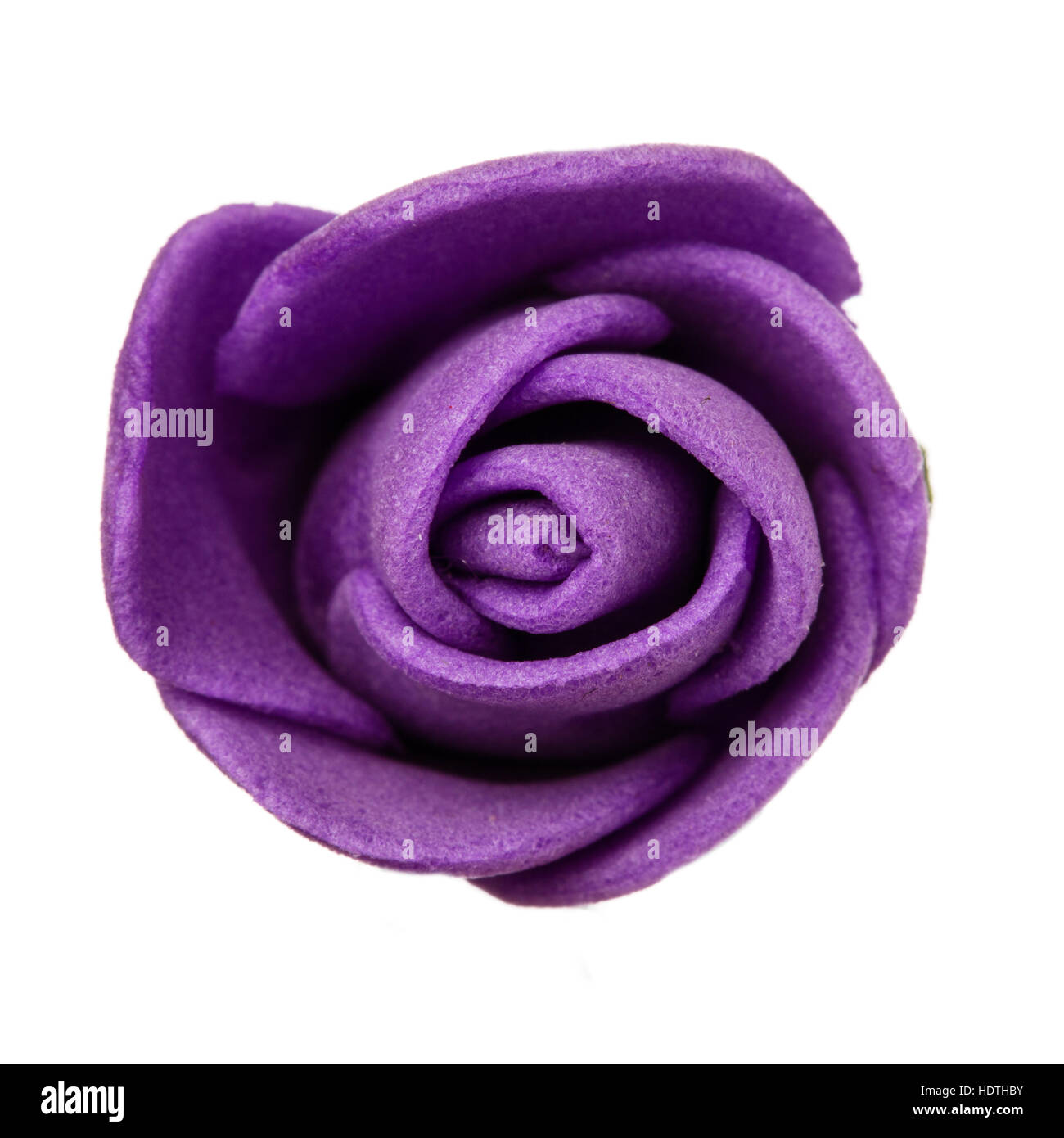 purple flower head isolated, beautiful decoration,top view Stock Photo ...