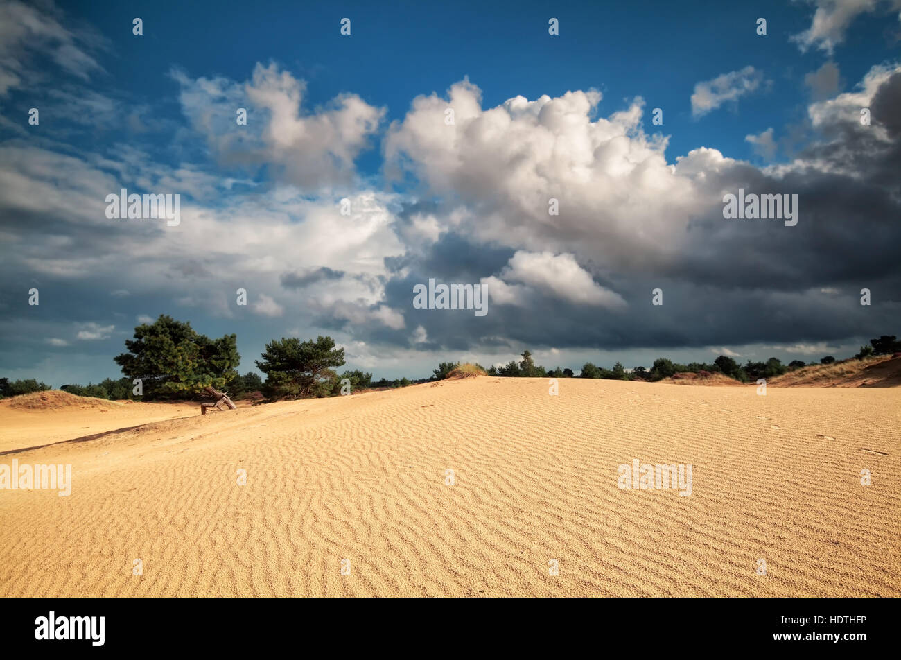 Beautiful summer scenery sand dune hi-res stock photography and images ...