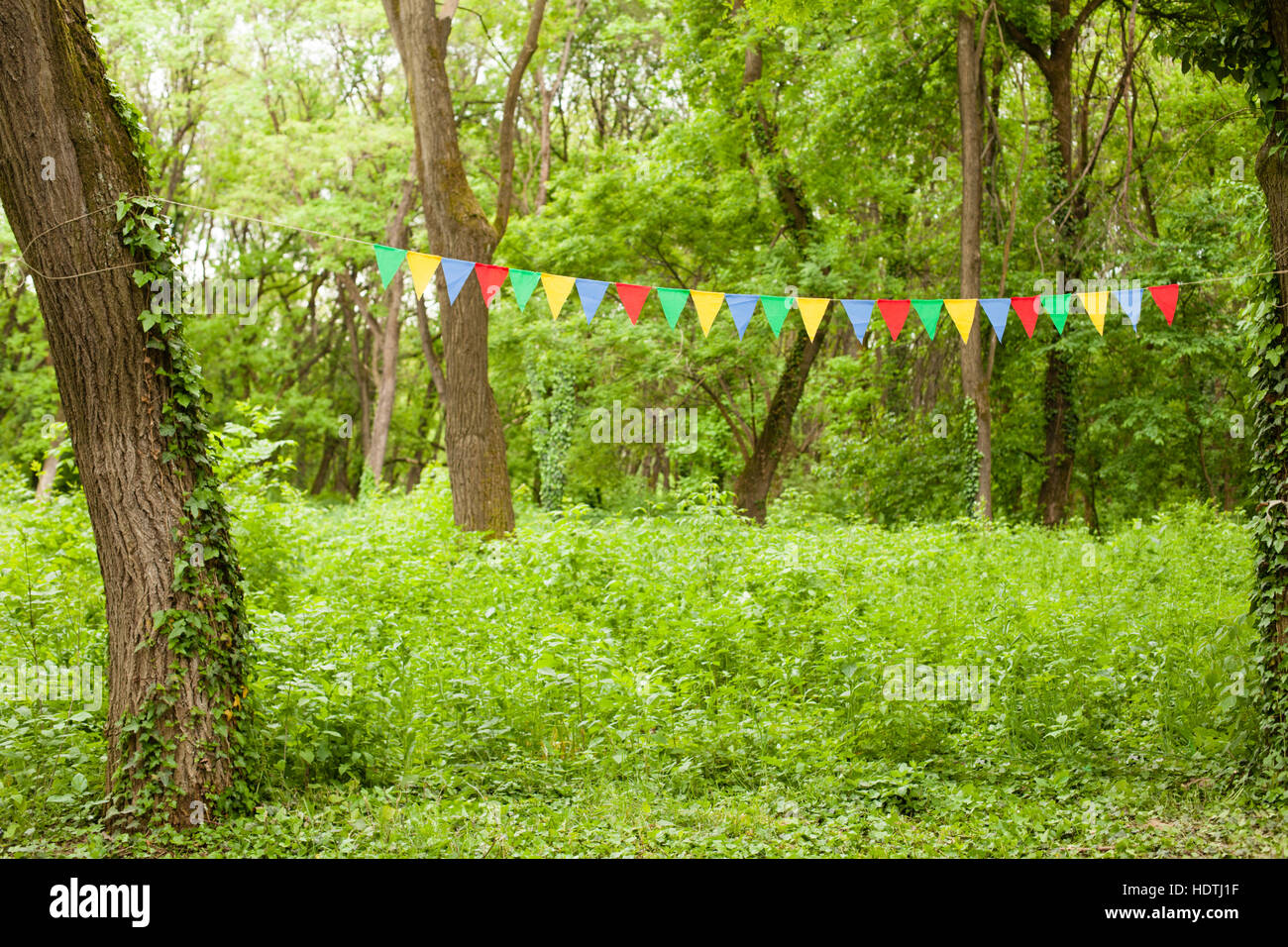 Color bunting flags Stock Photo - Alamy