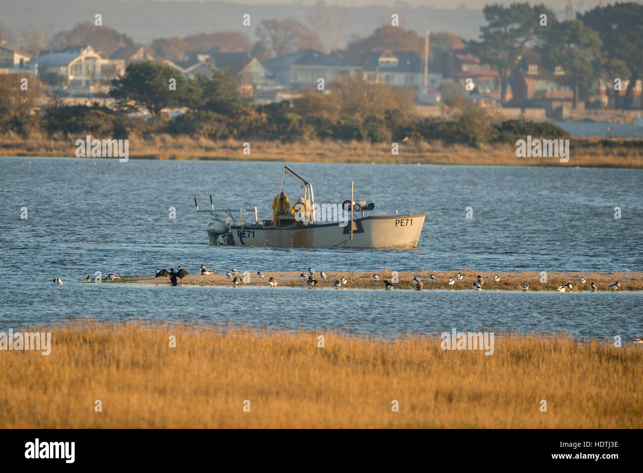 Shell fish fishing hi-res stock photography and images - Alamy
