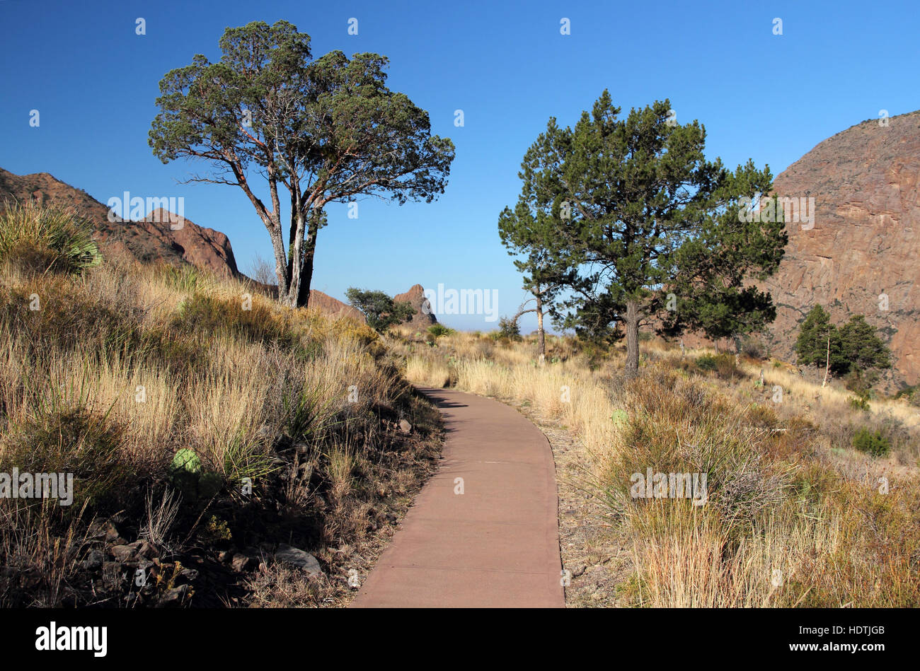 Window Trail in Big Bend National park, Texas Stock Photo - Alamy