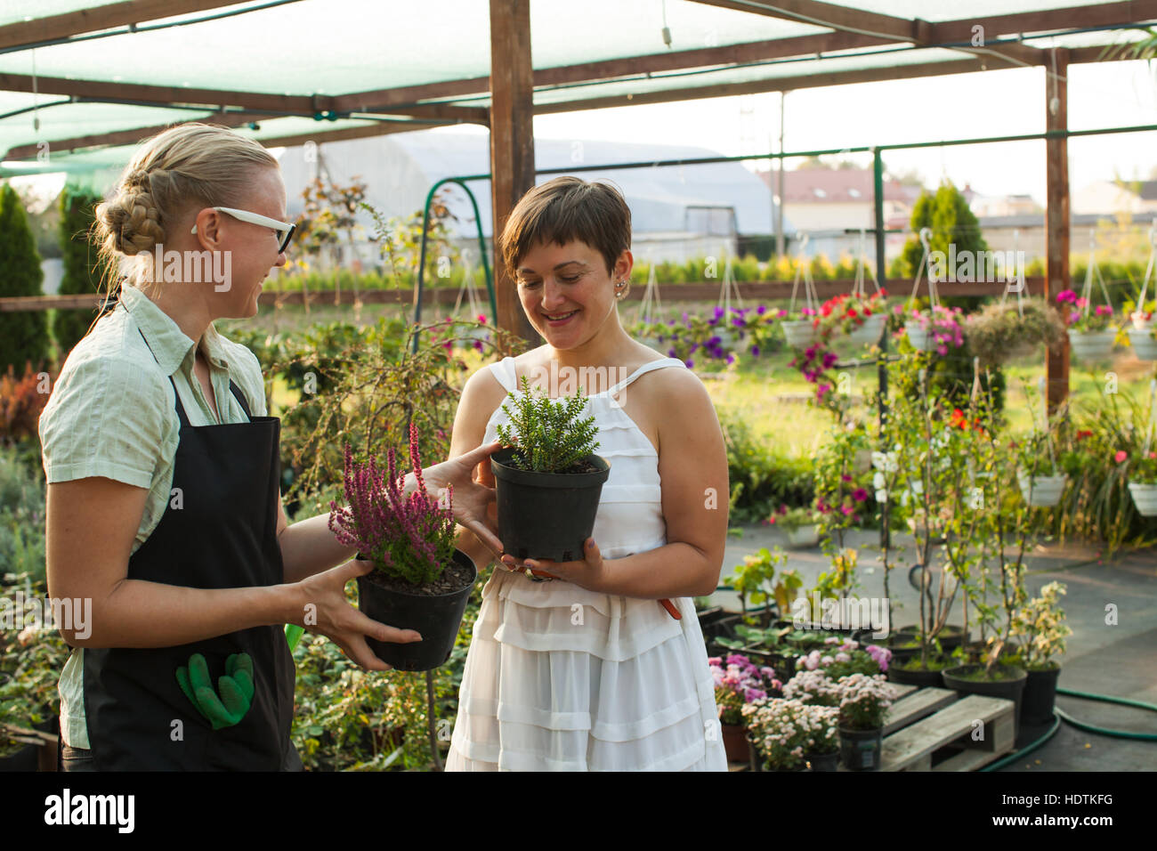 Florist demonstrating flowers in a pot Stock Photo - Alamy