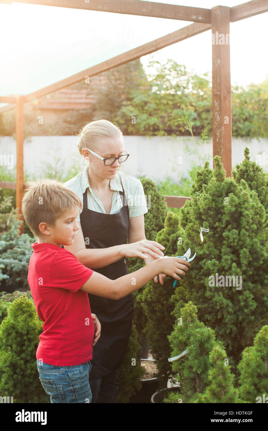 Portrait of teenage boy helping to trim bushes Stock Photo - Alamy
