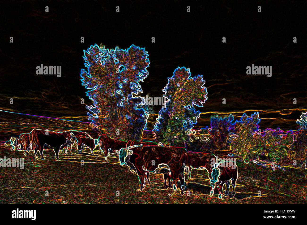 Cow cows cattle animal animals hi-res stock photography and images - Alamy