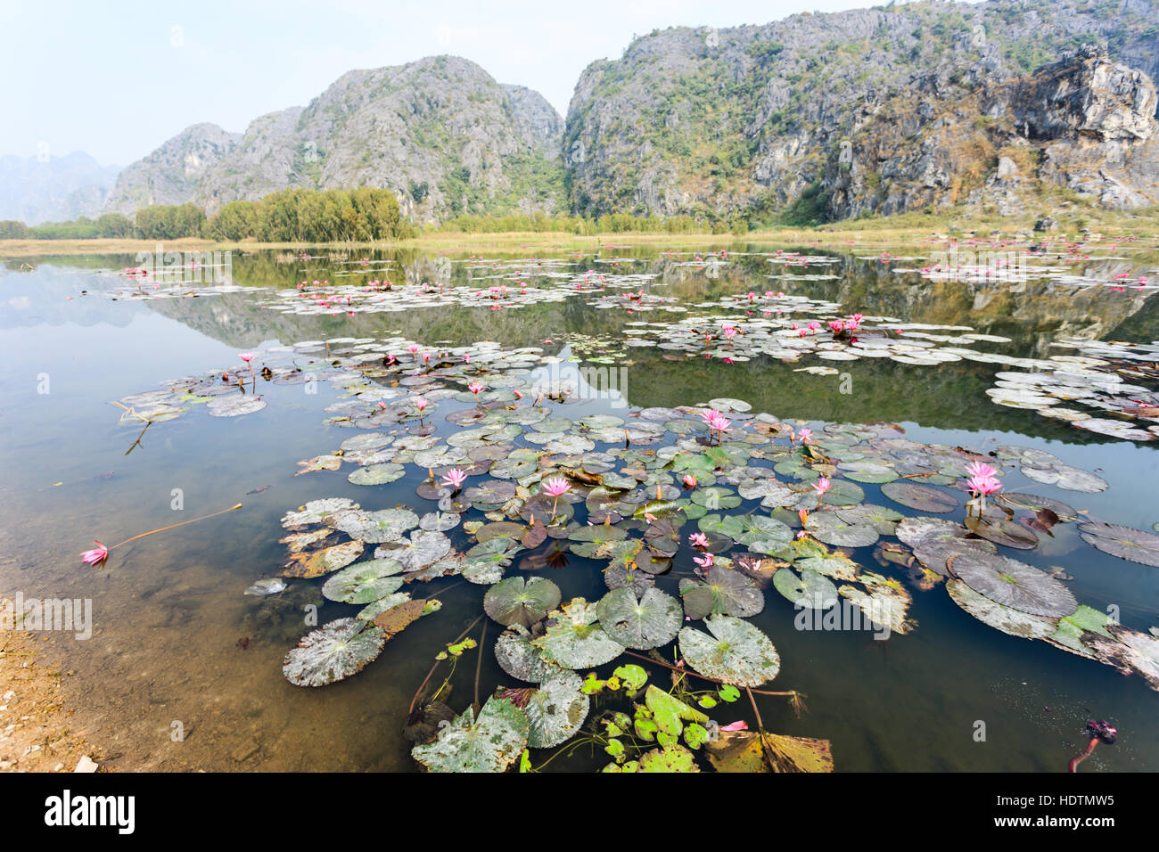 Van Long Reserve where take the movie Kong: Skull island Stock Photo ...
