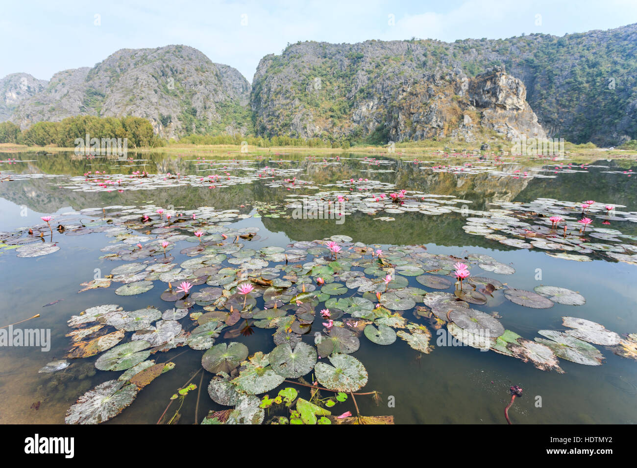 Van Long Reserve where take the movie Kong: Skull island Stock Photo ...
