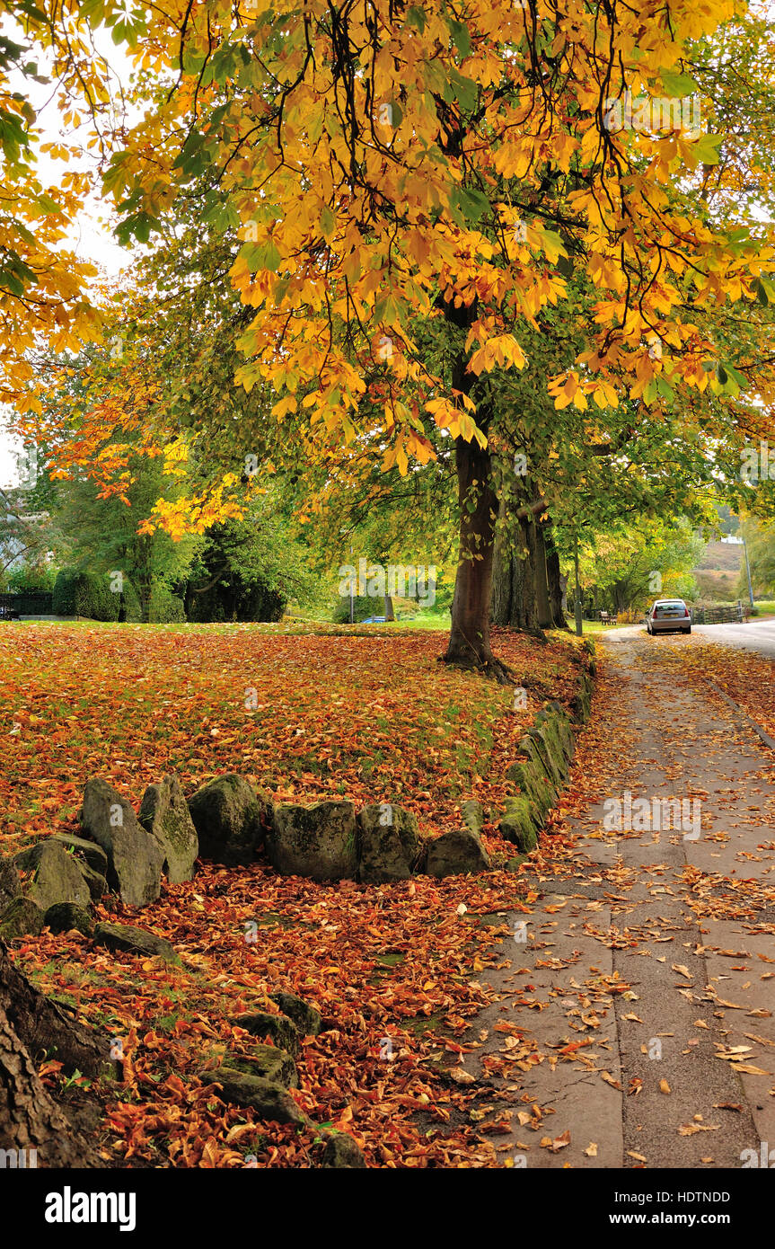 Autumn,on Wells Road ilkley West Yorkshire Stock Photo - Alamy