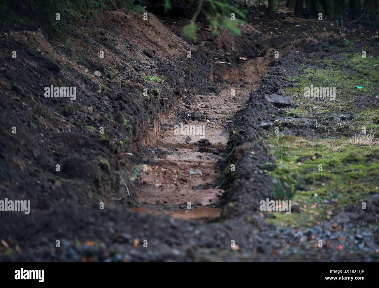 A hole which was dug as police search a cottage and its grounds where ...