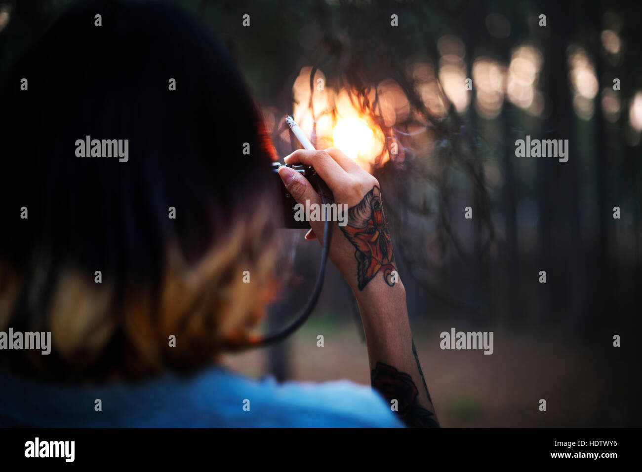 Photographer Camera Man Shooting Woods Nature Sunset Concept Stock ...