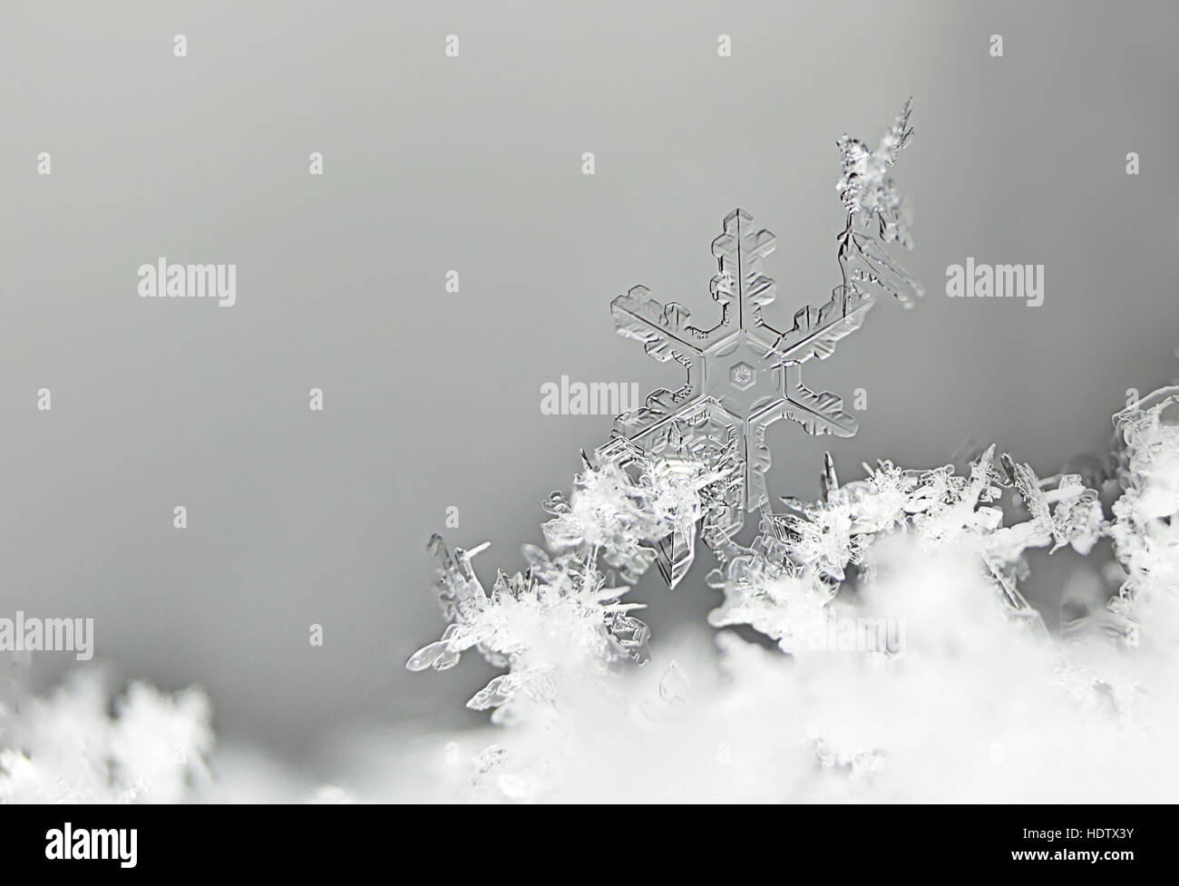 Suomen luonto hi-res stock photography and images - Alamy