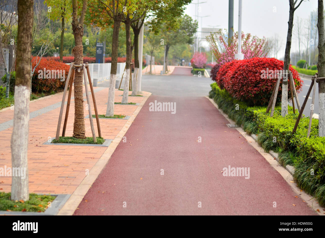 A path by the road side Stock Photo - Alamy