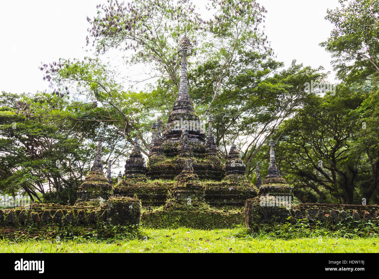 Pagoda forest hi-res stock photography and images - Alamy
