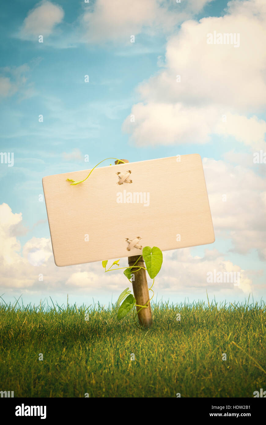 Blank wooden sign and natural background with grass and blue sky with ...