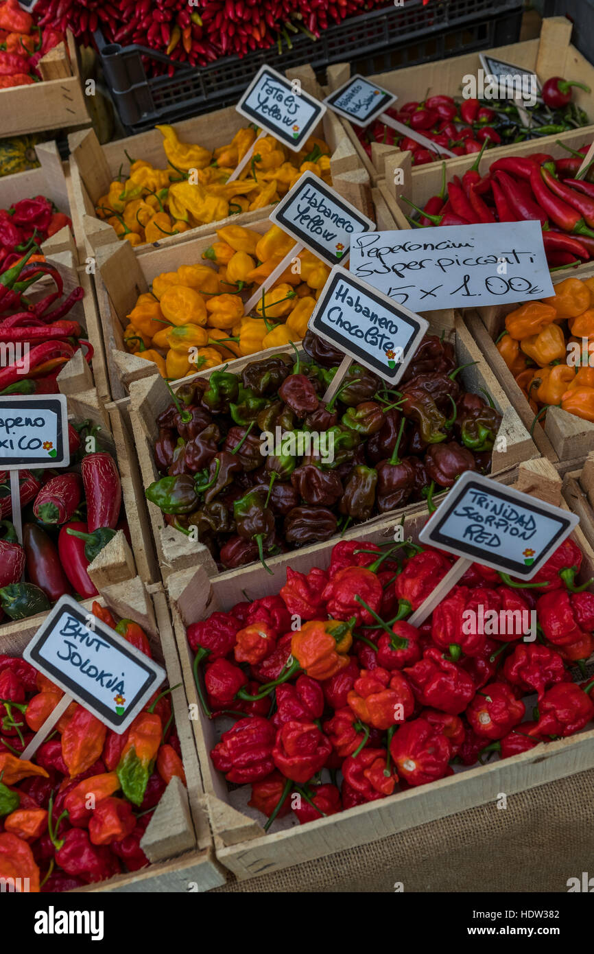 Market day in Lucca and the streets from Porta Santa Maria and all ...