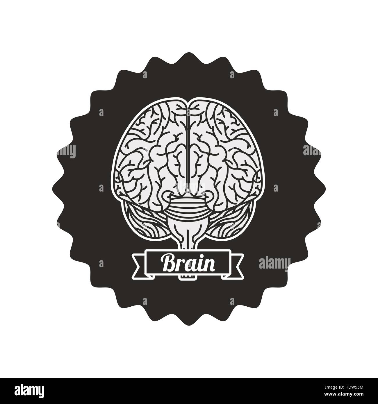 seal stamp with human brain organ icon over background. vector ...