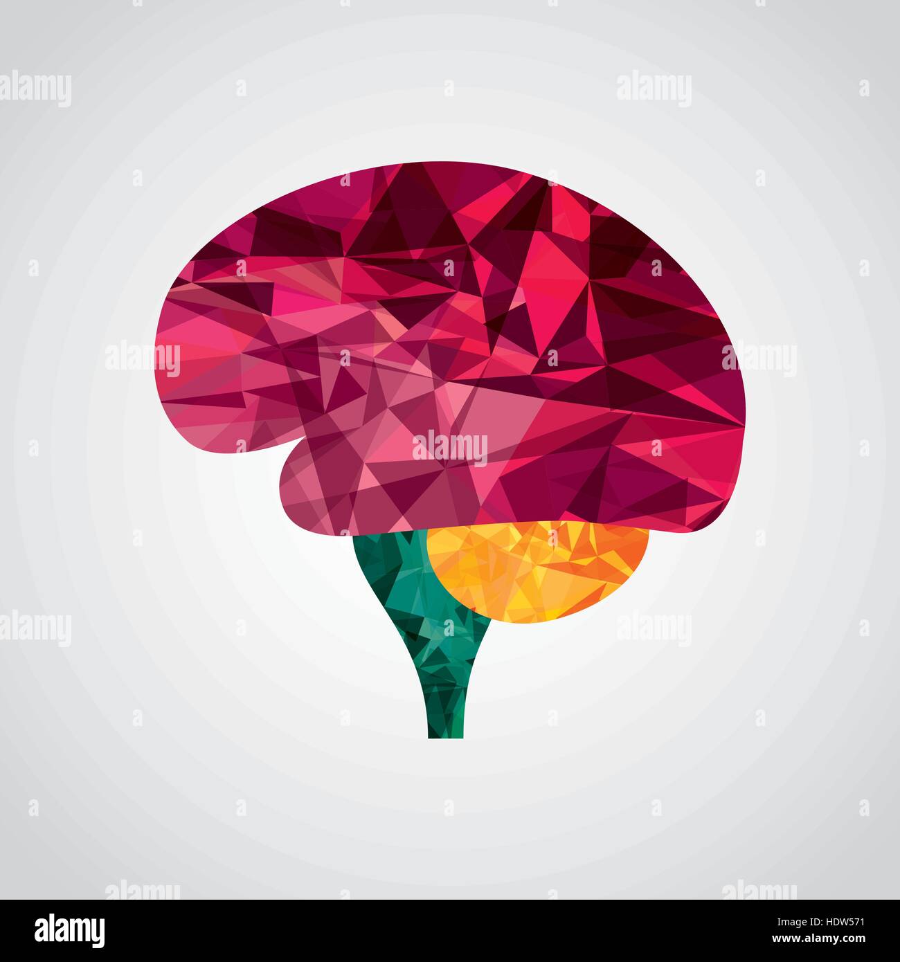 human brain icon over background. colorful and abstract design. vector ...