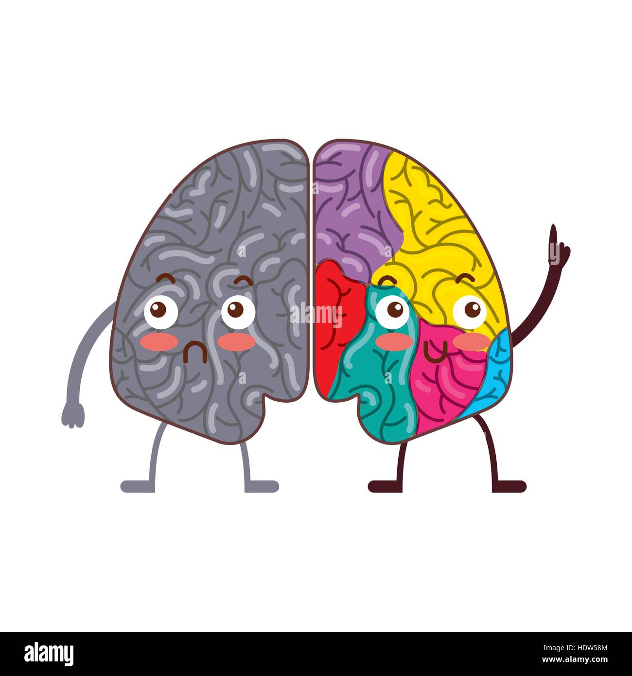 Cerebral Hemispheres High Resolution Stock Photography and Images - Alamy