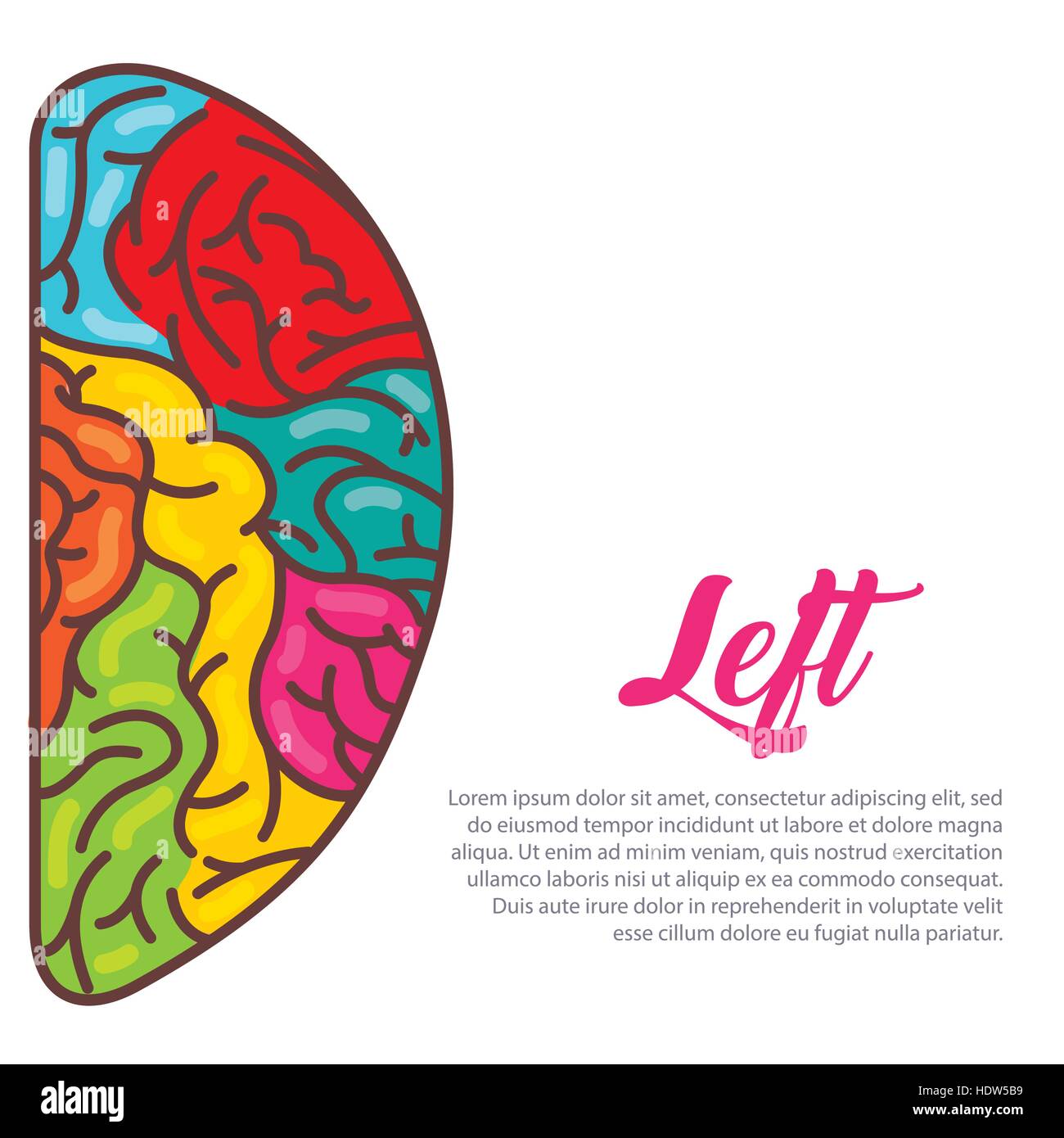 Left Hemisphere Brain High Resolution Stock Photography and Images - Alamy