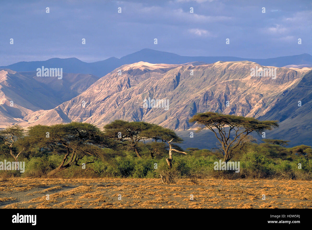 Escarpment of African Rift valley, Lake Natron, Tanzania Stock Photo ...