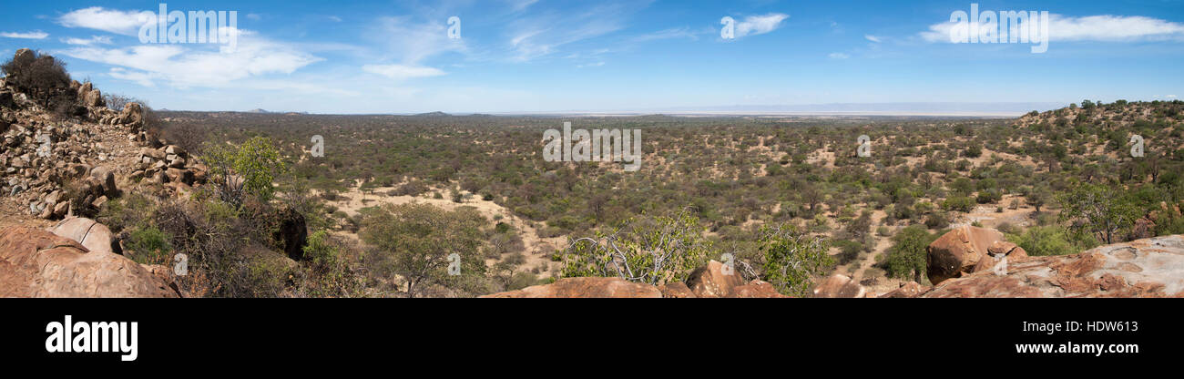 Panoramic view over bushland with Lake Eyasi in the far background ...