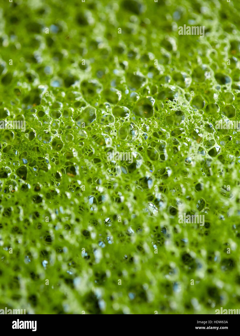Lather texture hi-res stock photography and images - Alamy