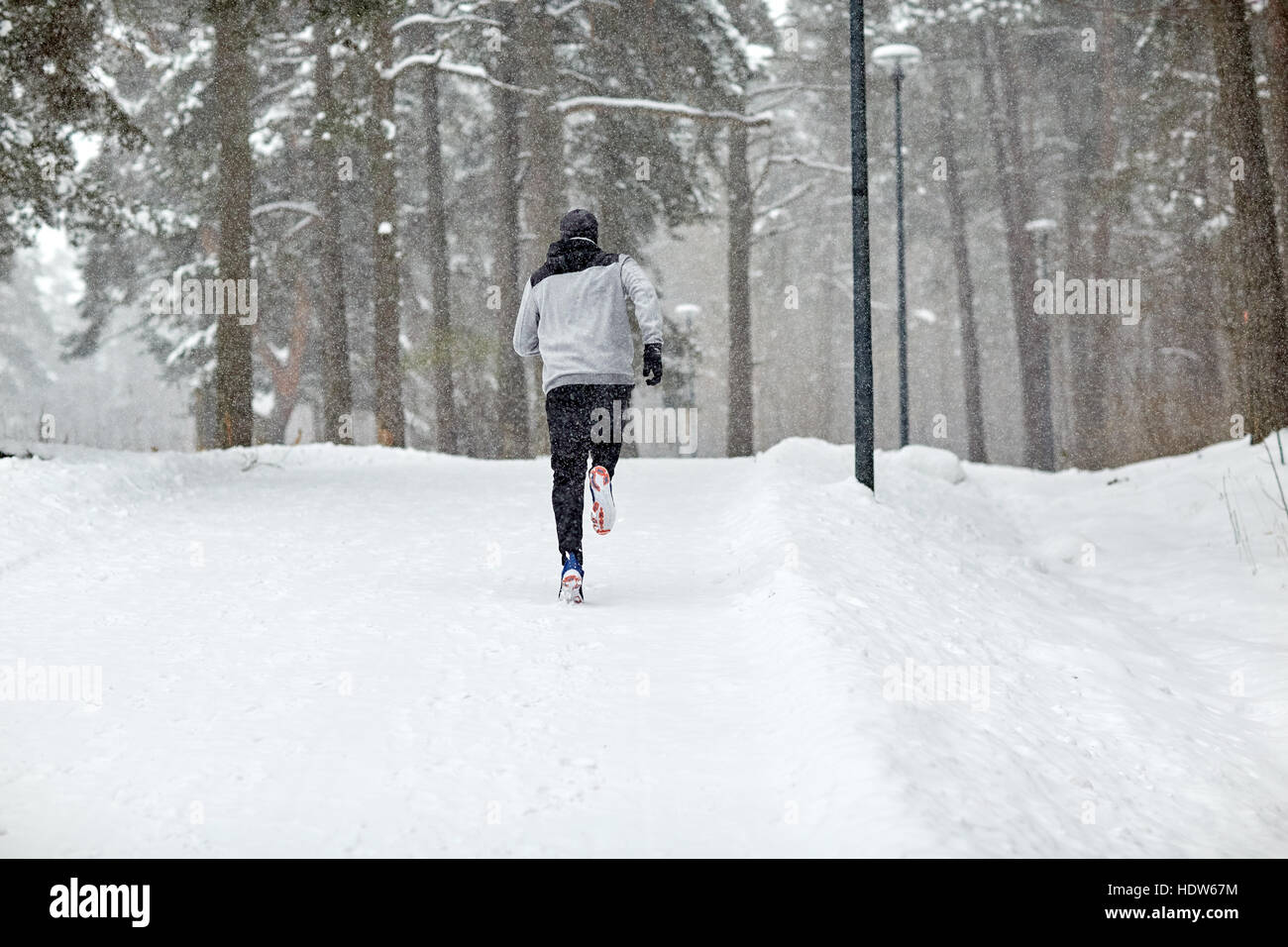man running on snow covered winter road in forest Stock Photo - Alamy
