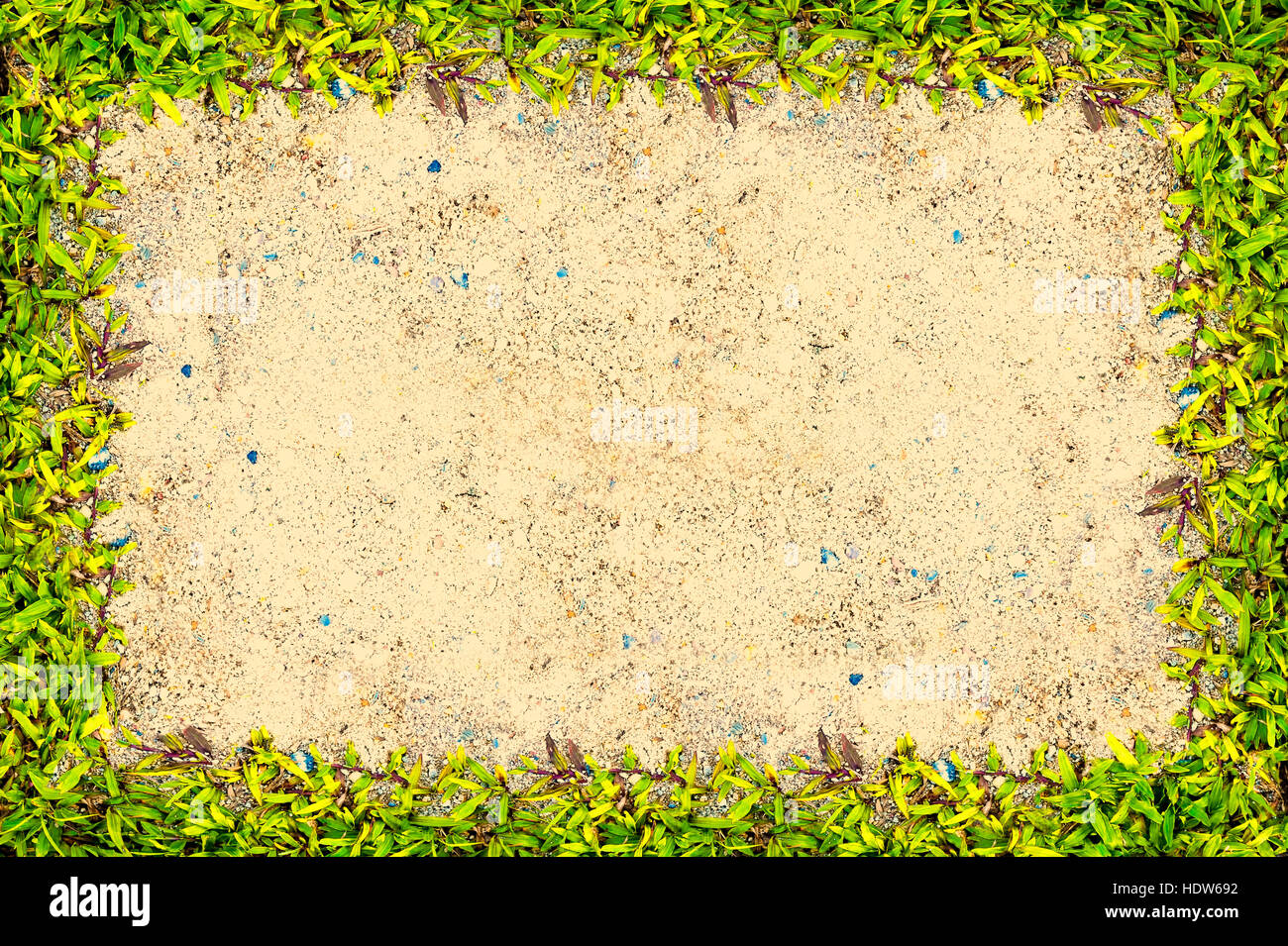 Square grass frame with copy-space on sand background Stock Photo - Alamy