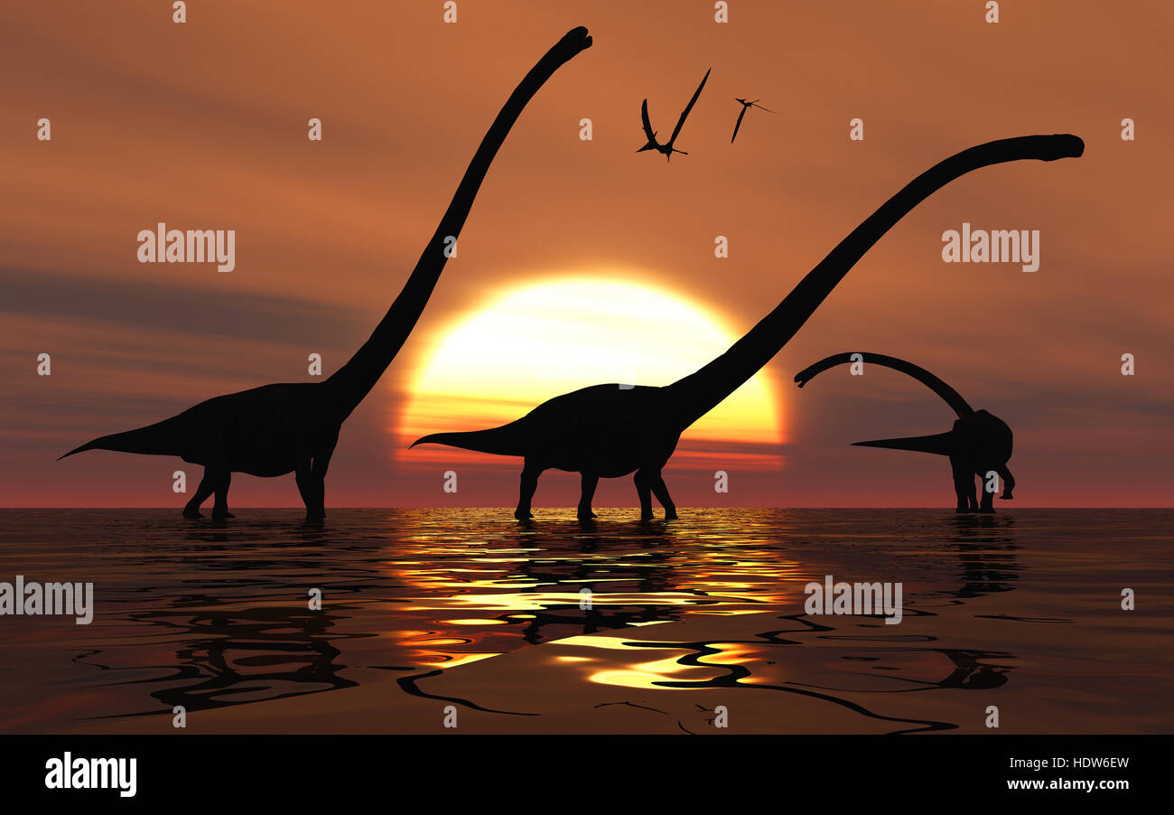 Sauropod water hi-res stock photography and images - Alamy