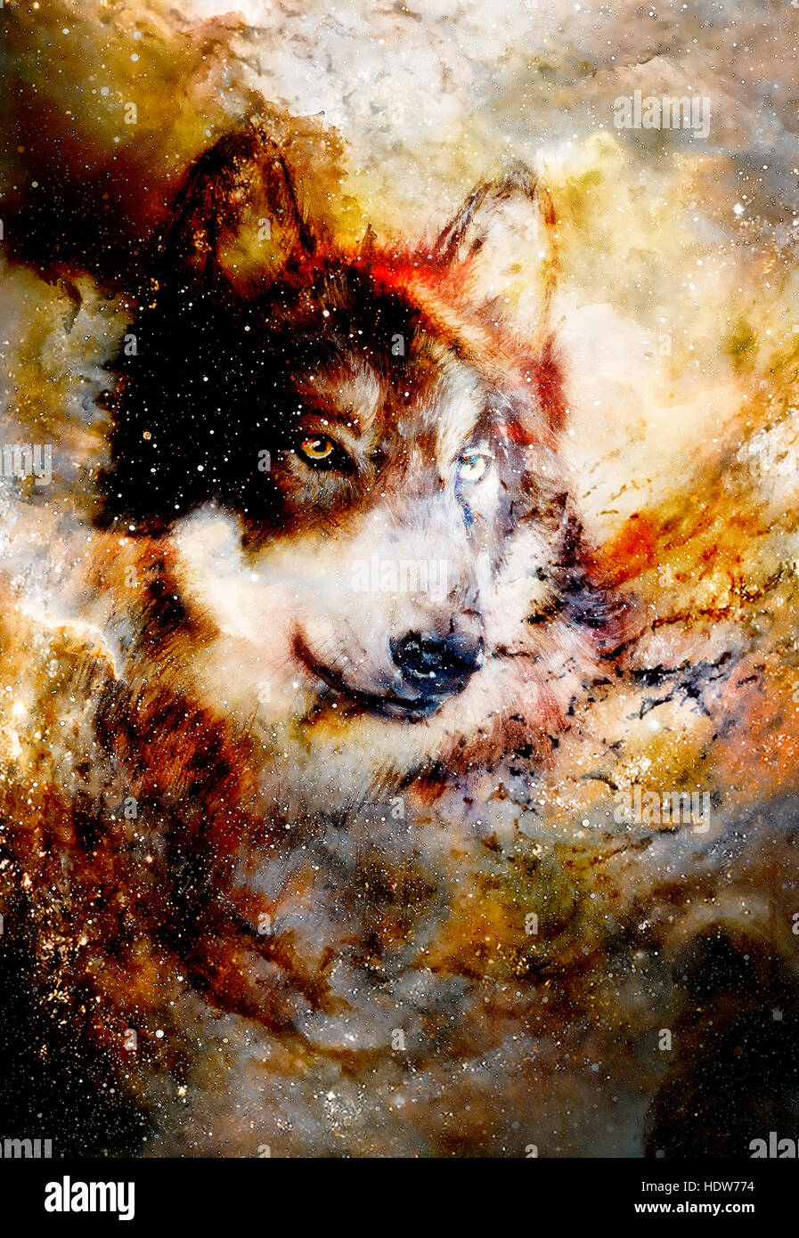 magical space wolf, multicolor computer graphic collage Stock Photo - Alamy