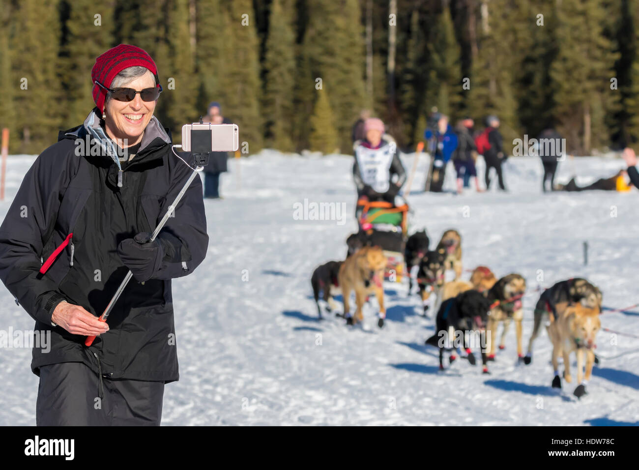 Iditarod musher smiling women race hi-res stock photography and images ...