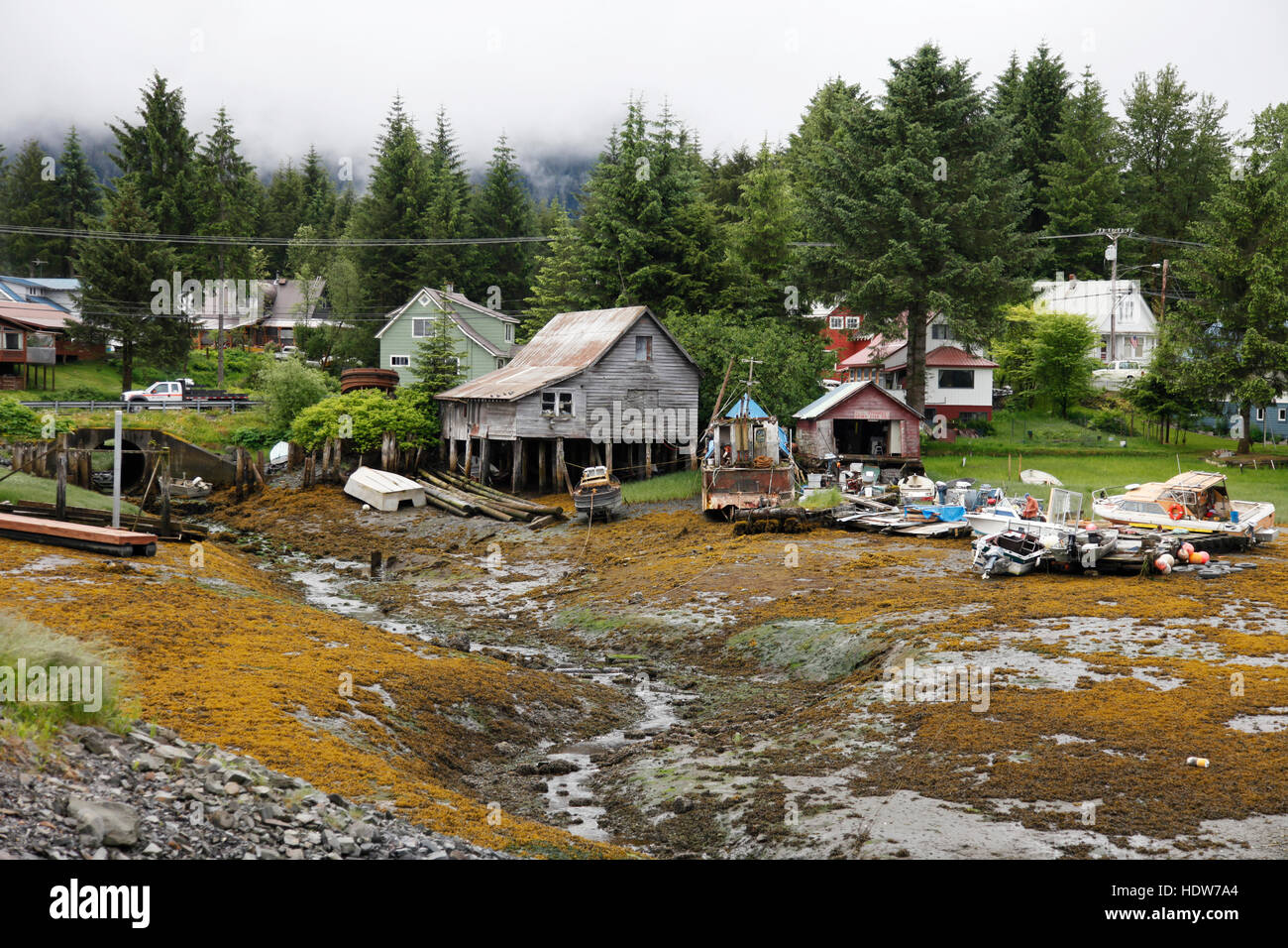 View of homes along the coast at Pelican, Chichagof Island, Southeast ...