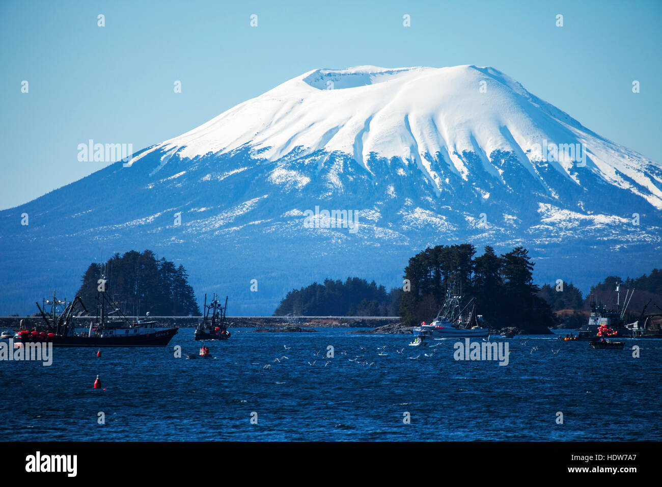 Scenic view of Sitka Sound and Mt. Edgecumbe during the Sac Roe Herring ...