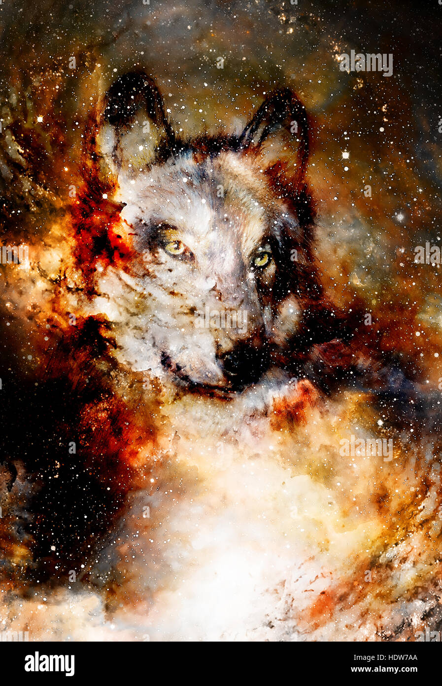 magical space wolf, multicolor computer graphic collage. Space fire ...