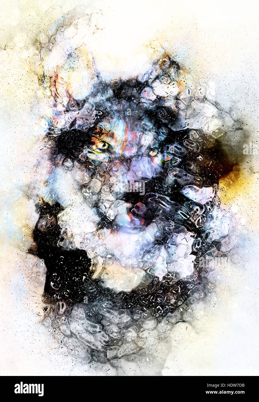 magical space wolf, multicolor computer graphic collage Stock Photo - Alamy