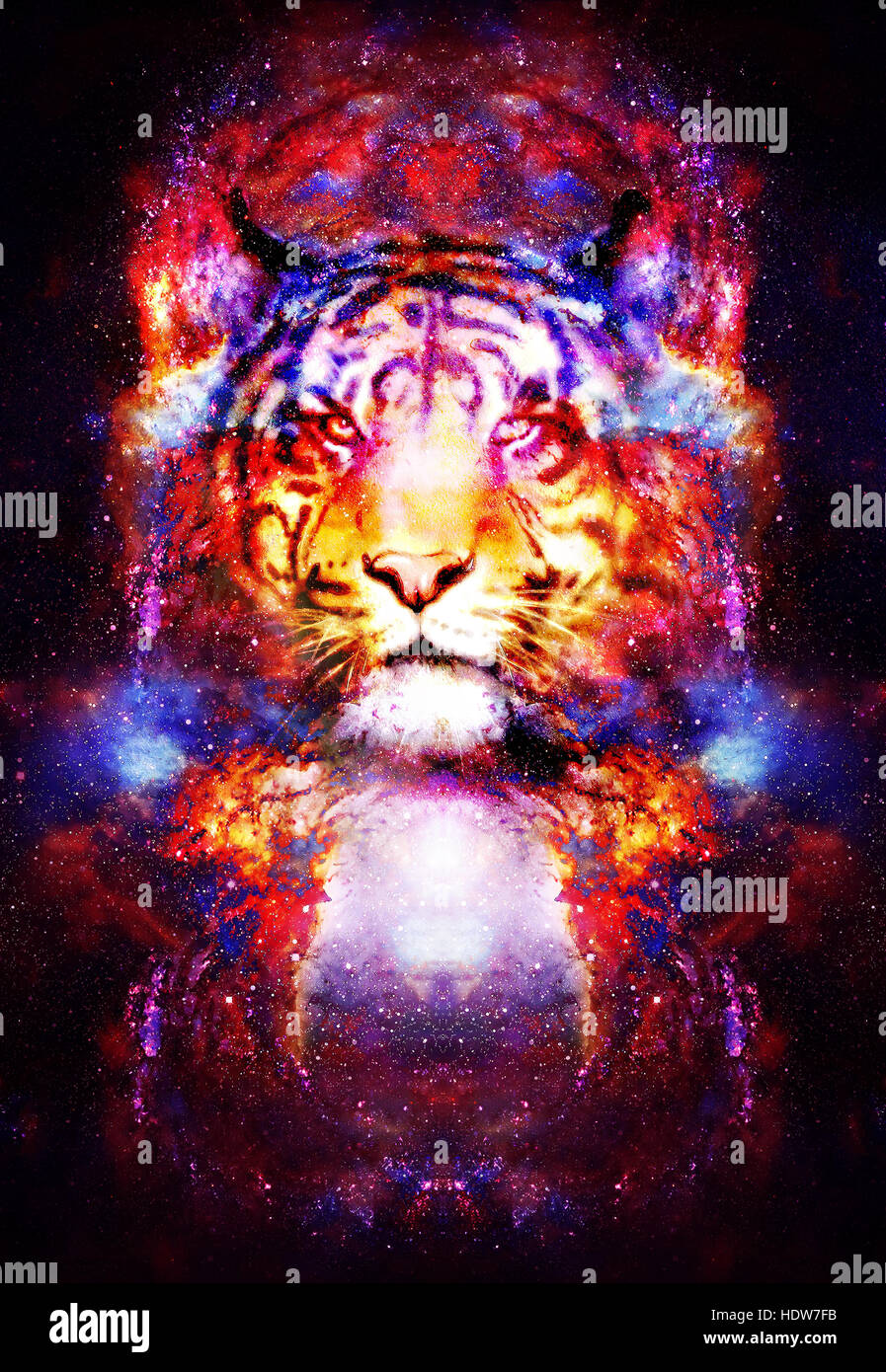 magical space tiger, multicolor computer graphic collage Stock Photo ...