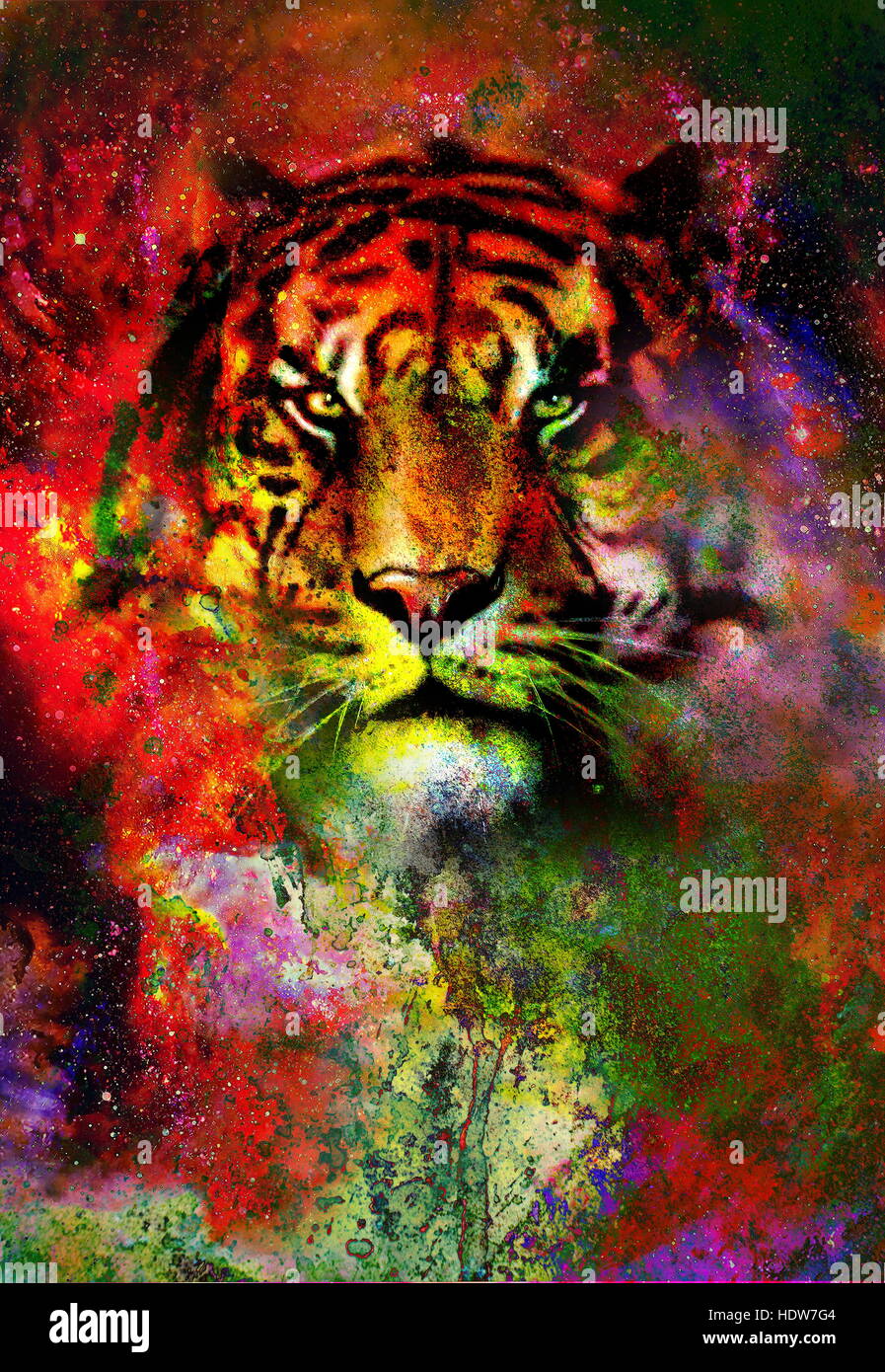 magical space tiger, multicolor computer graphic collage Stock Photo ...