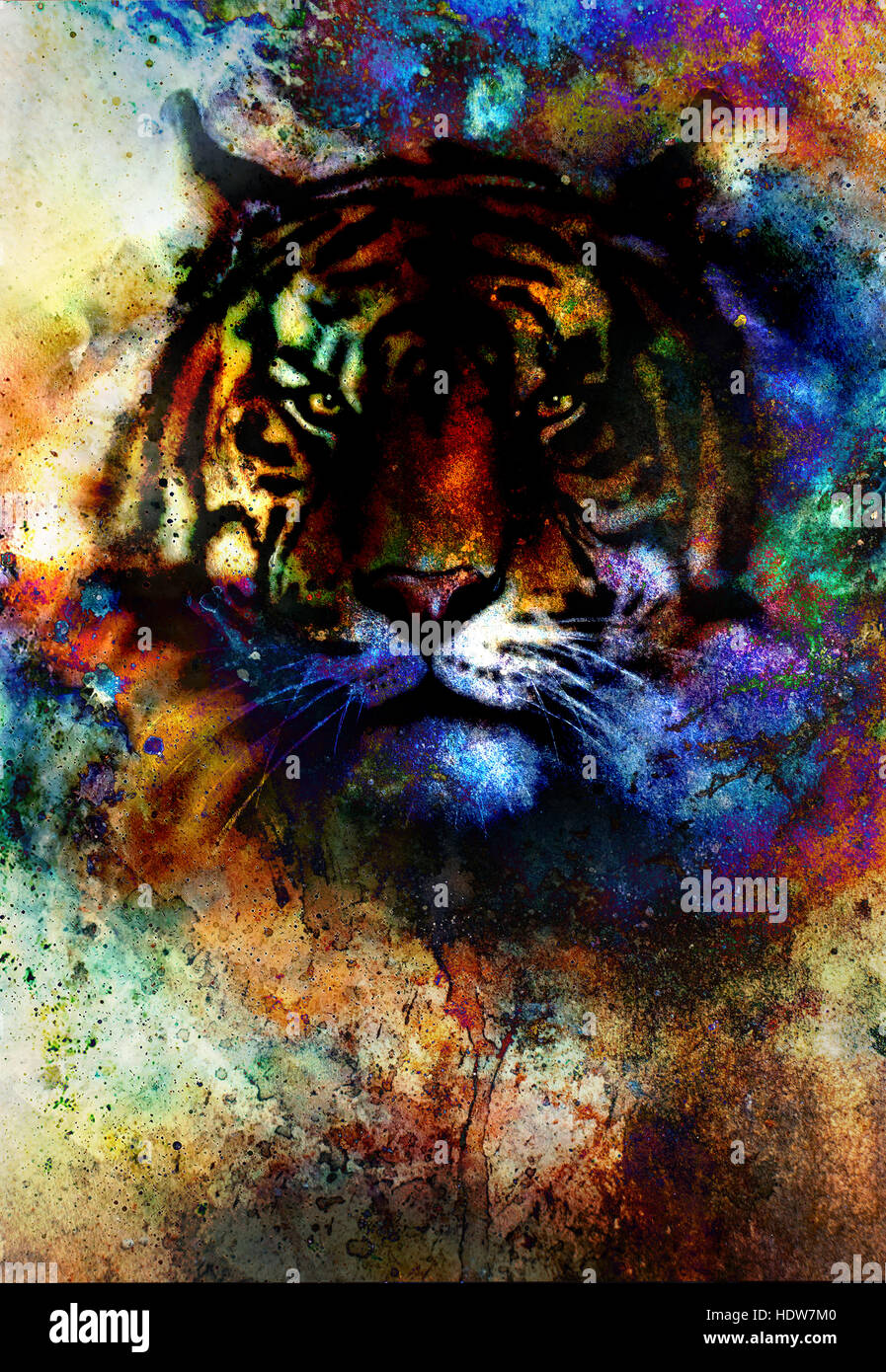 tiger collage on color abstract background, rust structure, wildlife ...