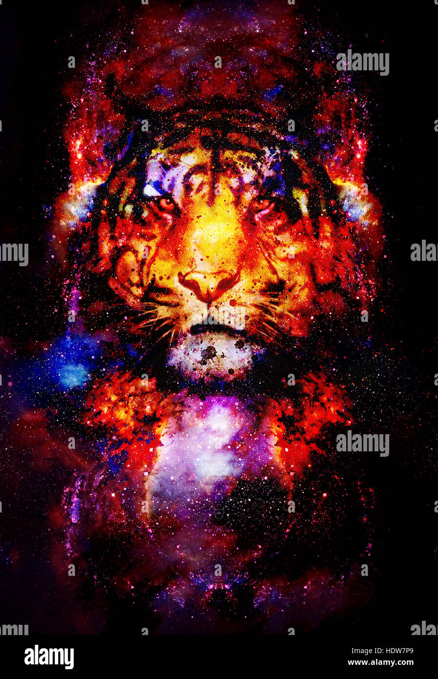 magical space tiger, multicolor computer graphic collage Stock Photo ...