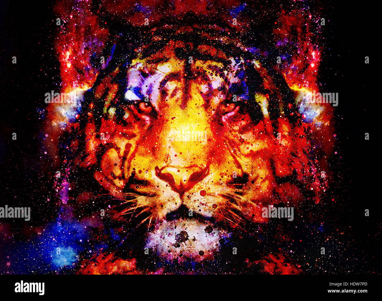 magical space tiger, multicolor computer graphic collage Stock Photo ...
