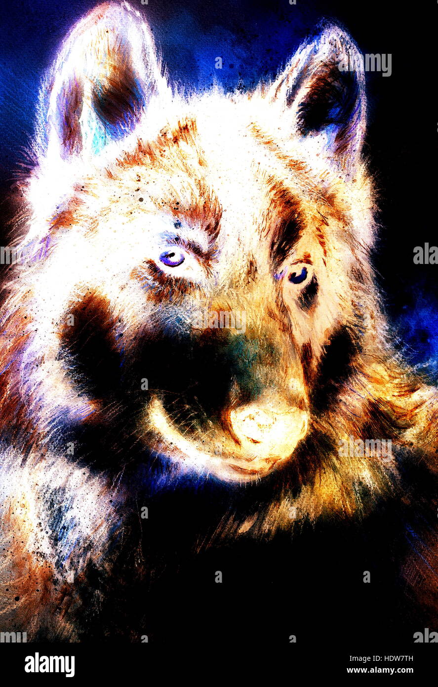 timber wolf head on abstract structured background, multicolor graphic ...