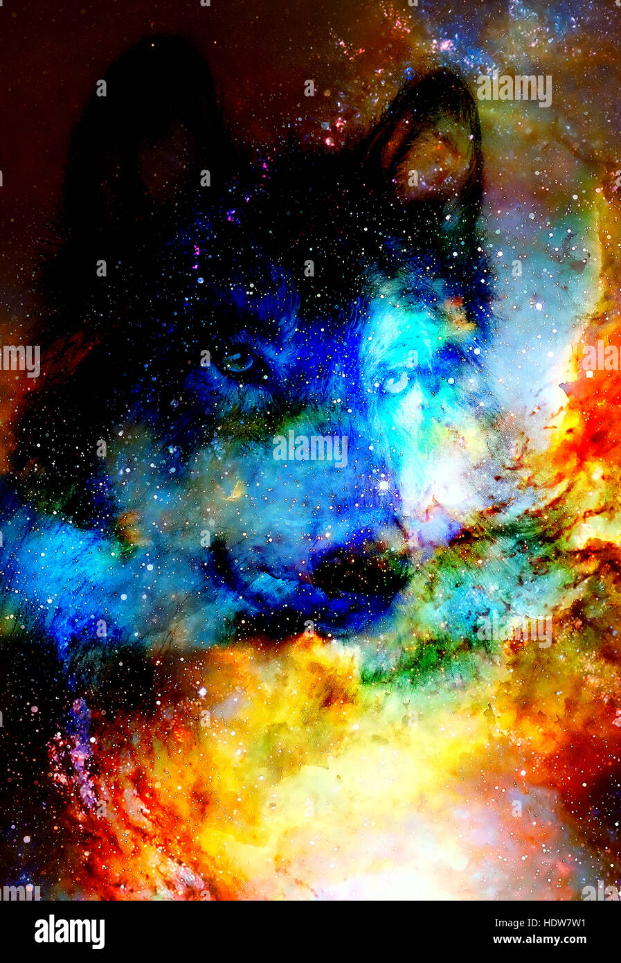 magical space wolf, multicolor computer graphic collage. Space fire ...