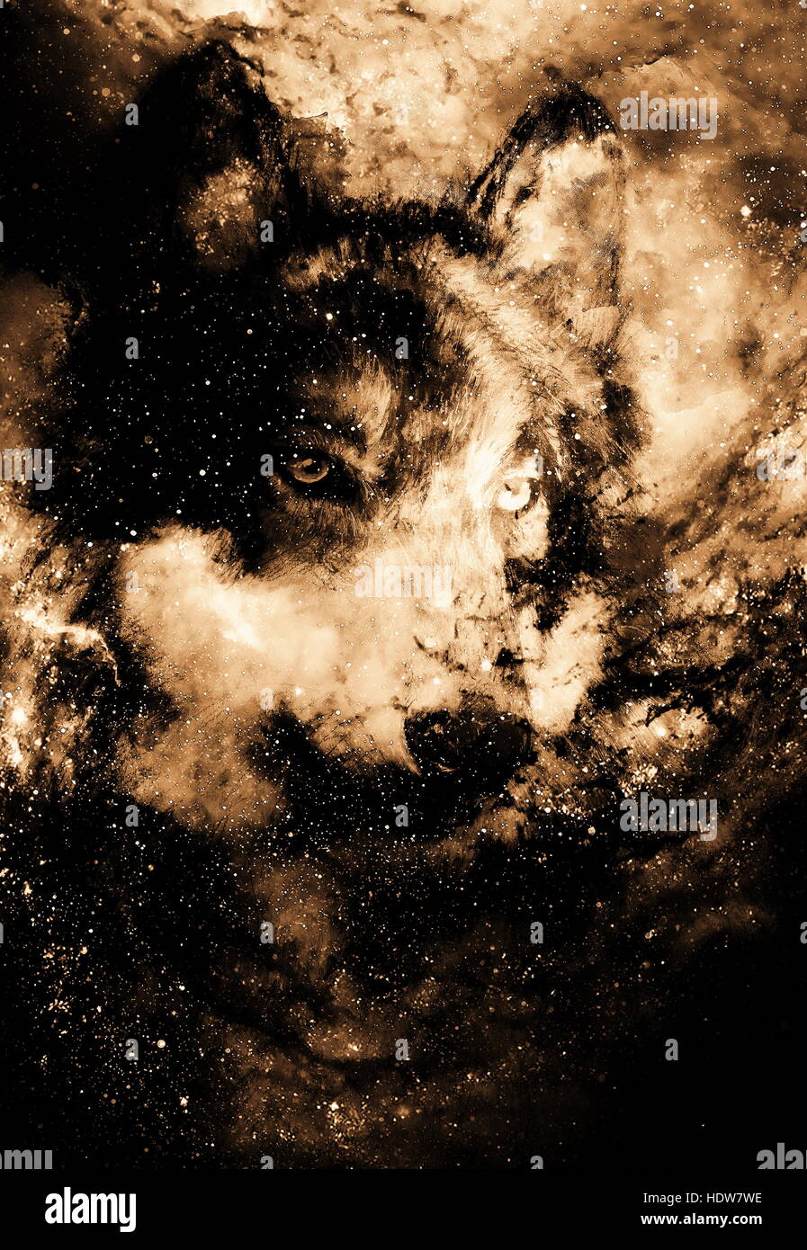 magical space wolf, multicolor computer graphic collage. Sepia effect ...
