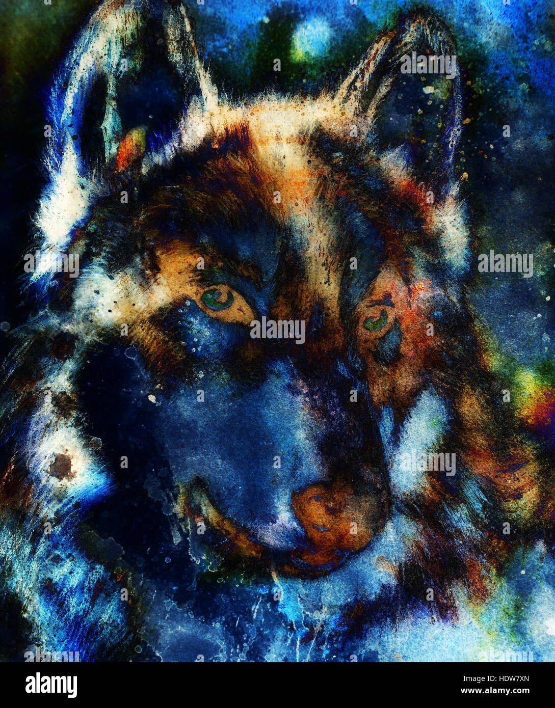 timber wolf head on abstract structured background, multicolor graphic ...