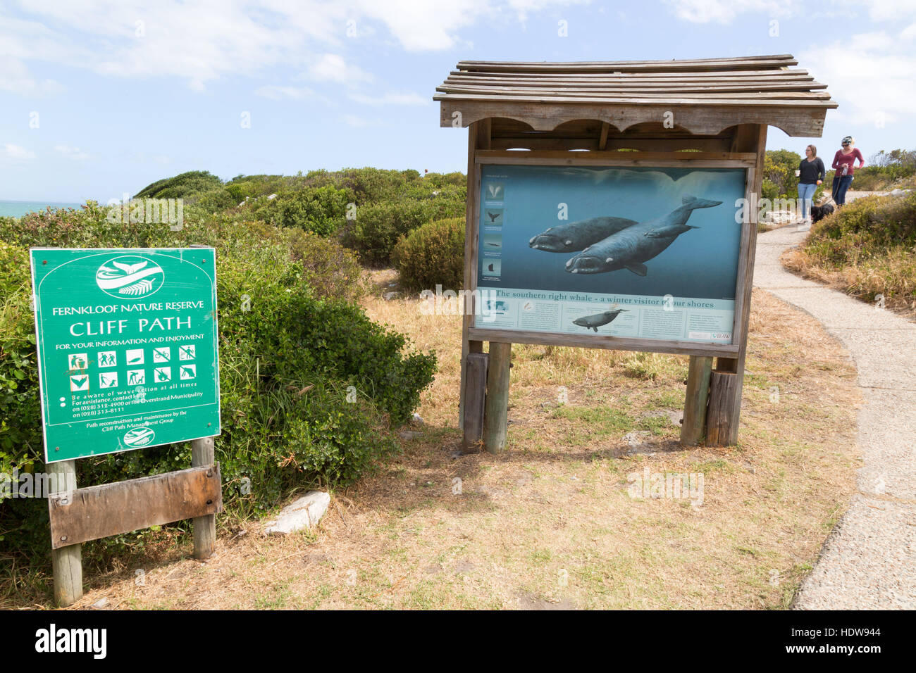 People walking the Cliff path to see whales, Hermanus, Western Cape ...