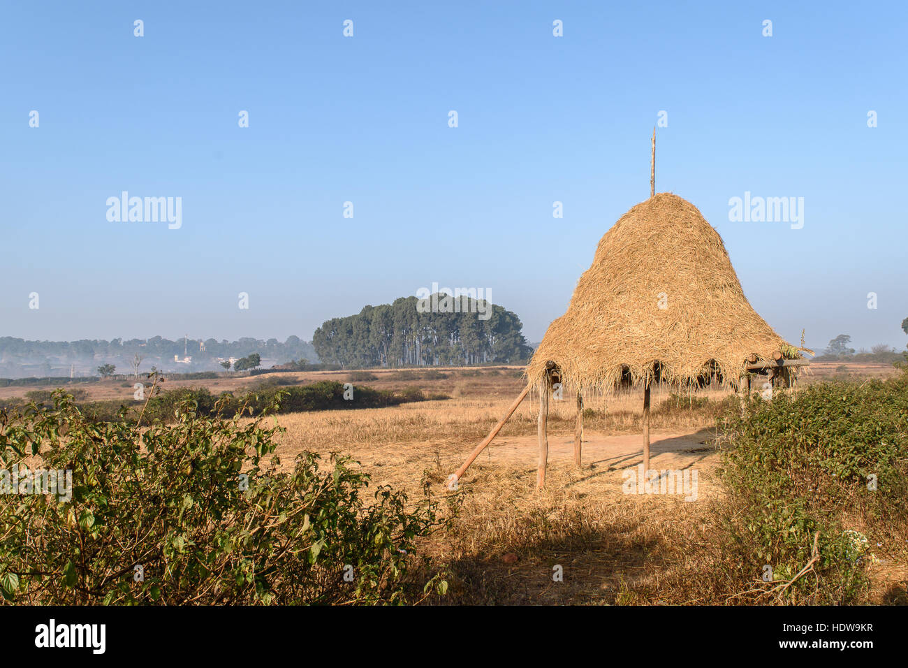 Storage made of straws to store harvested crops Stock Photo - Alamy