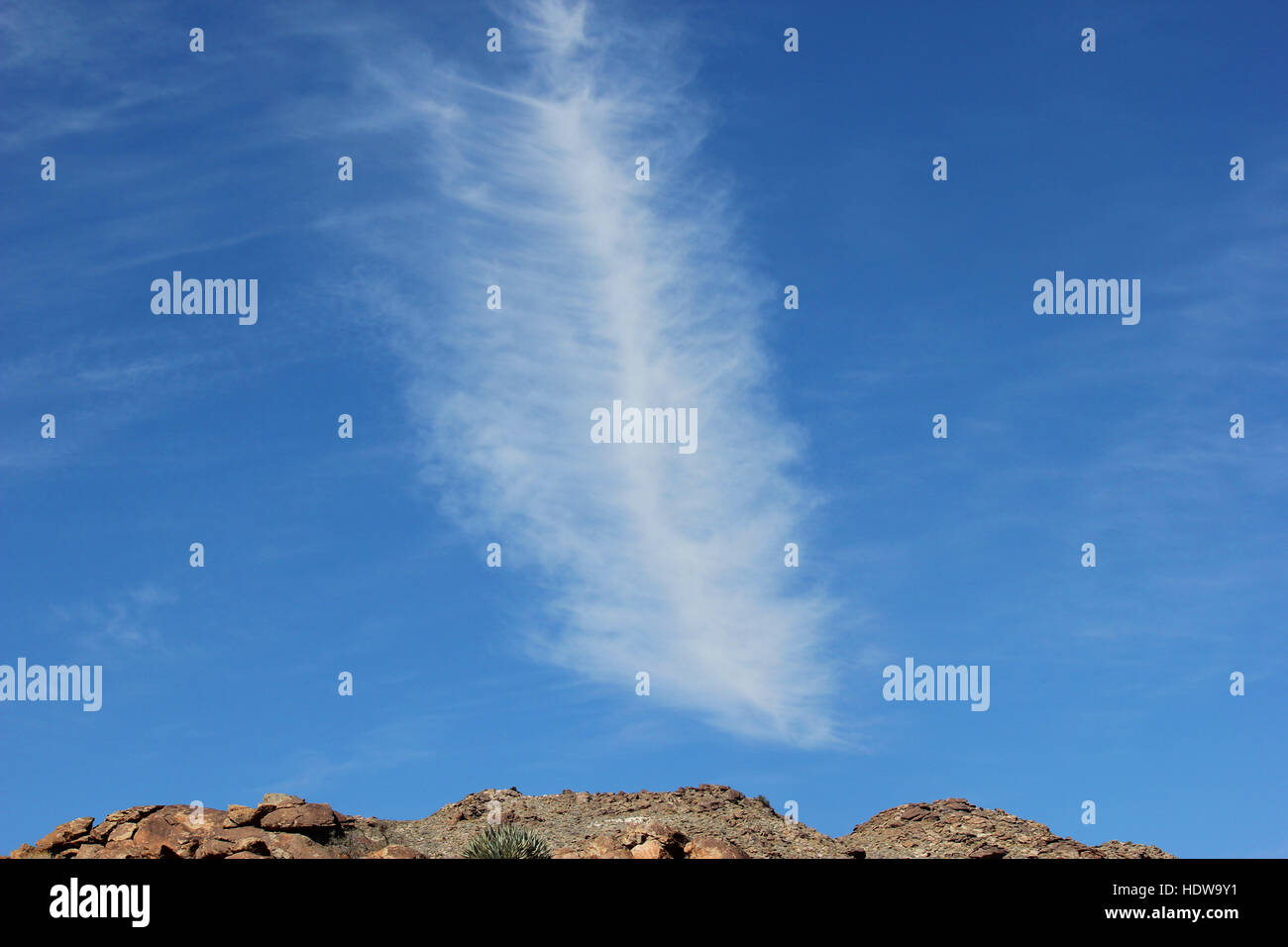 Cloud shaped like a leaf Stock Photo - Alamy