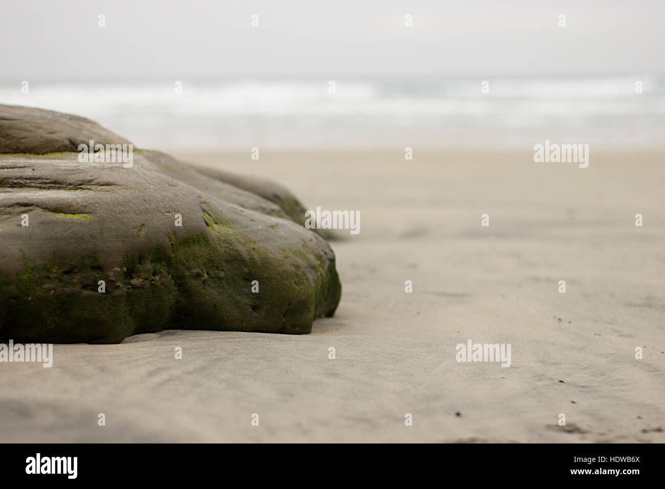 Rock with algae on the beach in La Jolla, California with the ocean ...