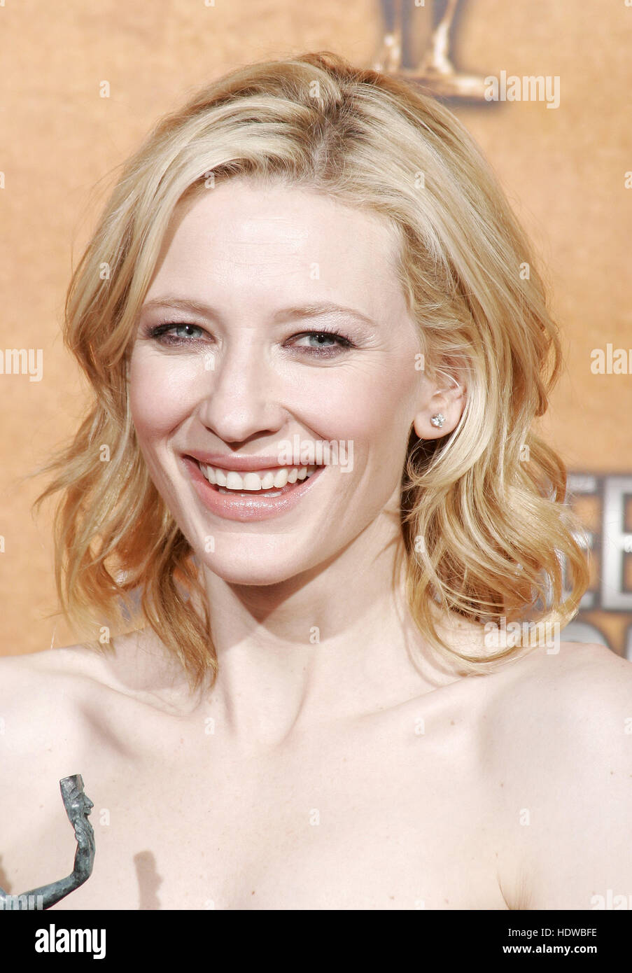 Cate Blanchett at the Screen Actors Guild Awards in Los Angeles on Feb ...