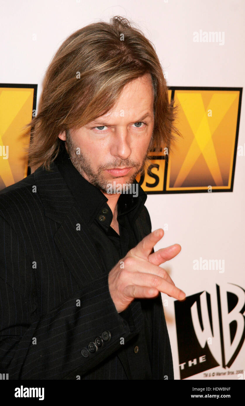 Actor David Spade arrives at the 10th Annual Critics' Choice Awards in ...